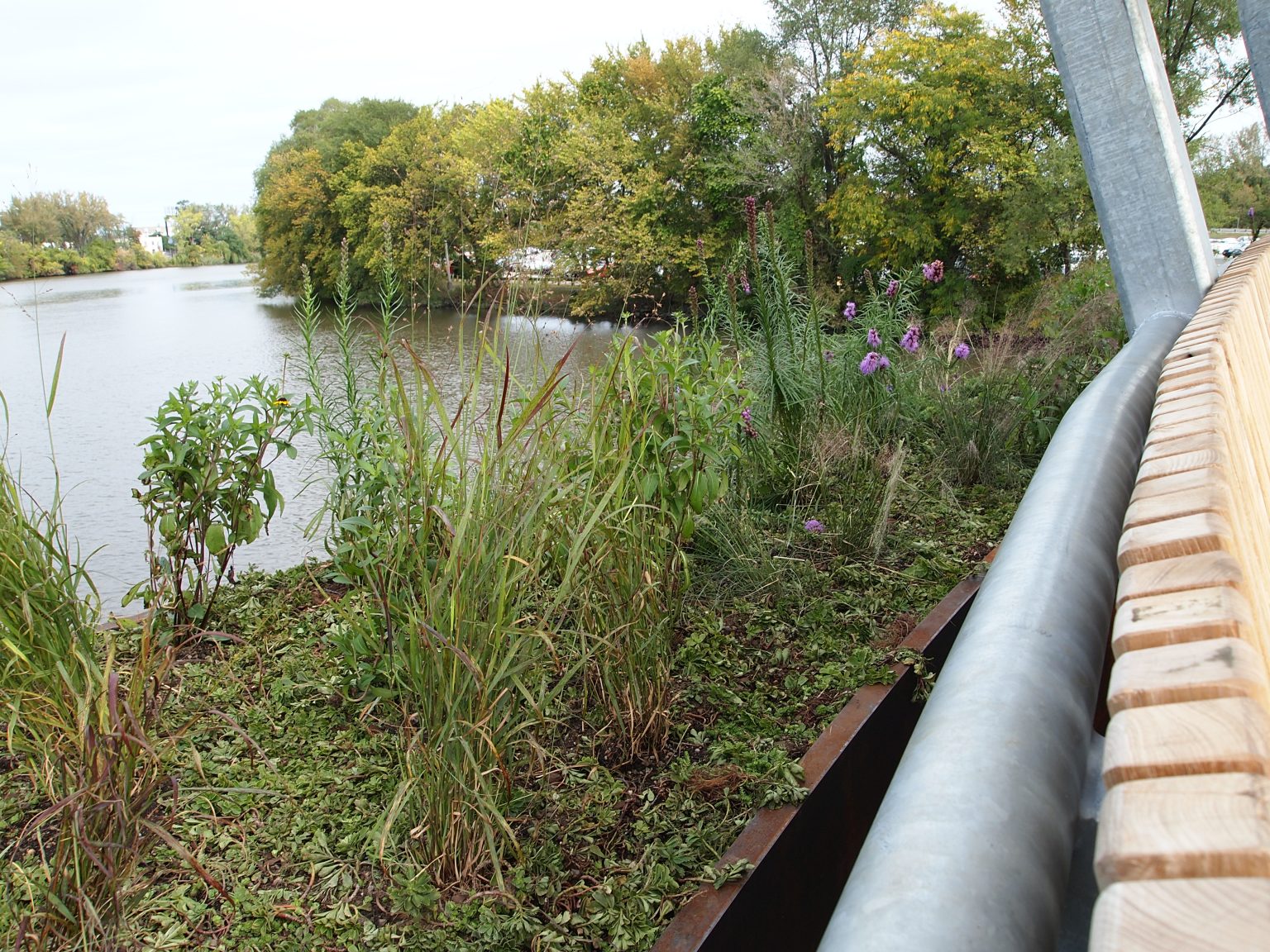 Fairleigh Dickinson Spirit Bridge, Teaneck NJ – Studio Sustena